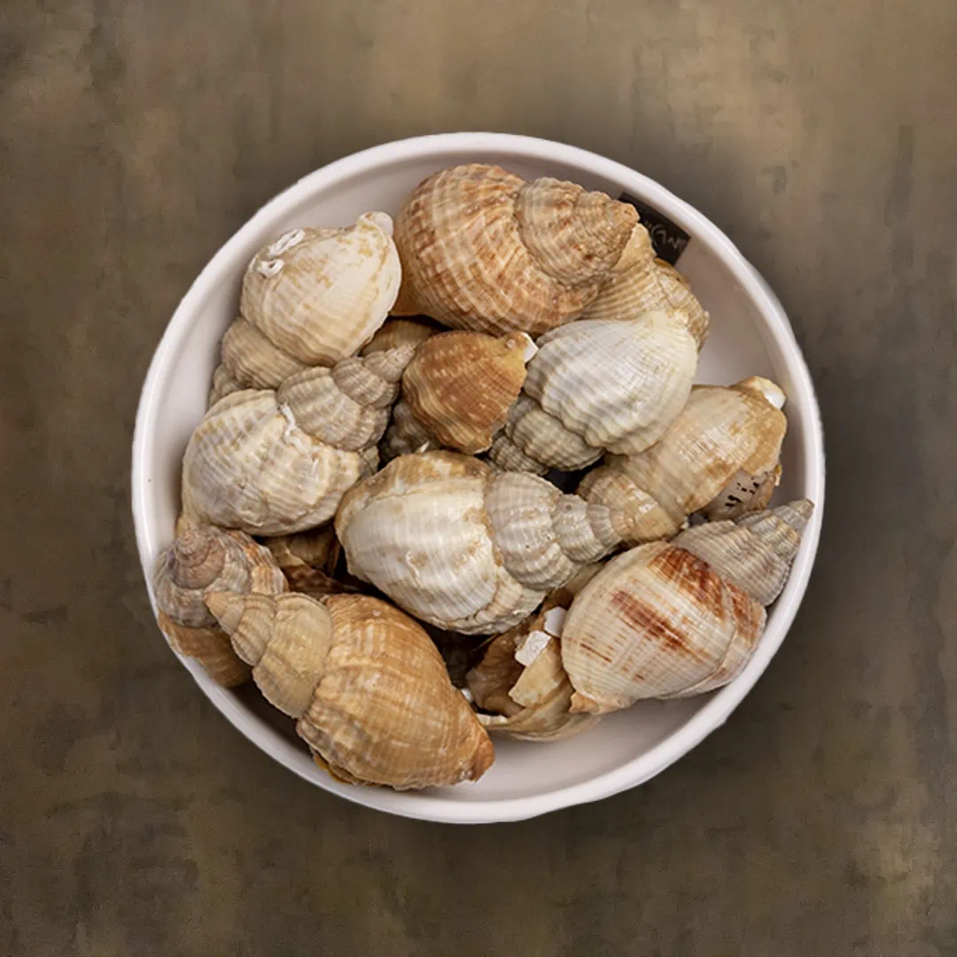 Bulots - Toucan Restaurants