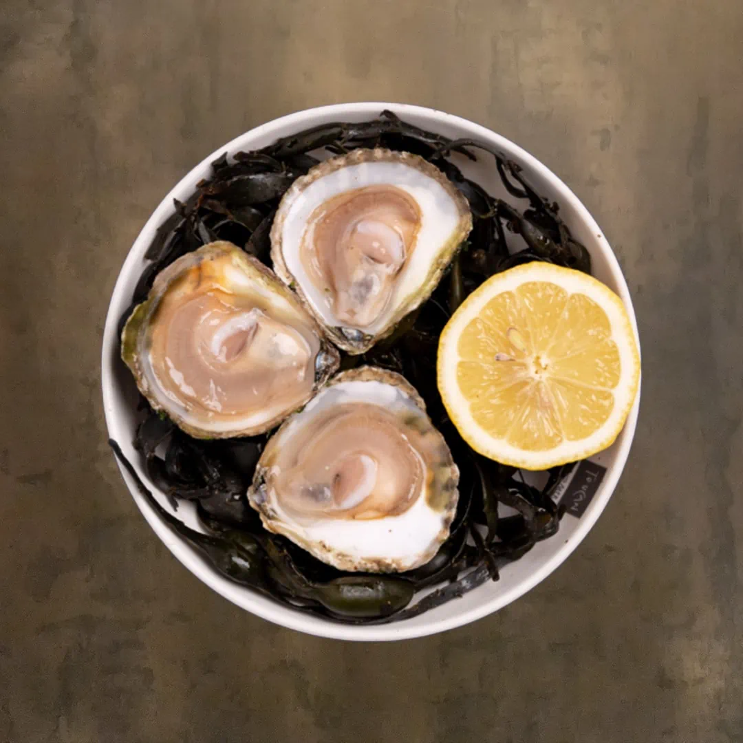 Huître Belon n°2 - Moyenne - Toucan Restaurants